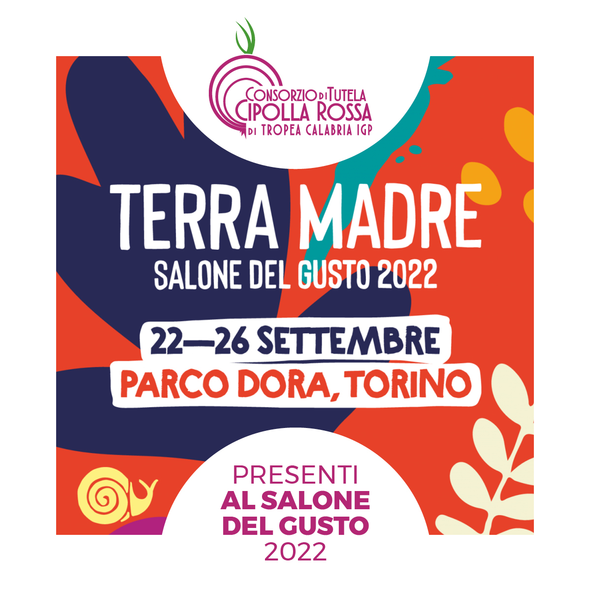 La cipolla rossa di Tropea Calabria Igp sarà protagonista a Torino a ...